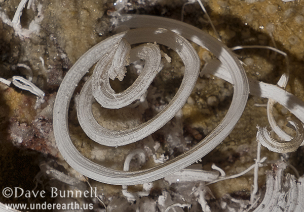 The Virtual Cave: Gypsum Flowers